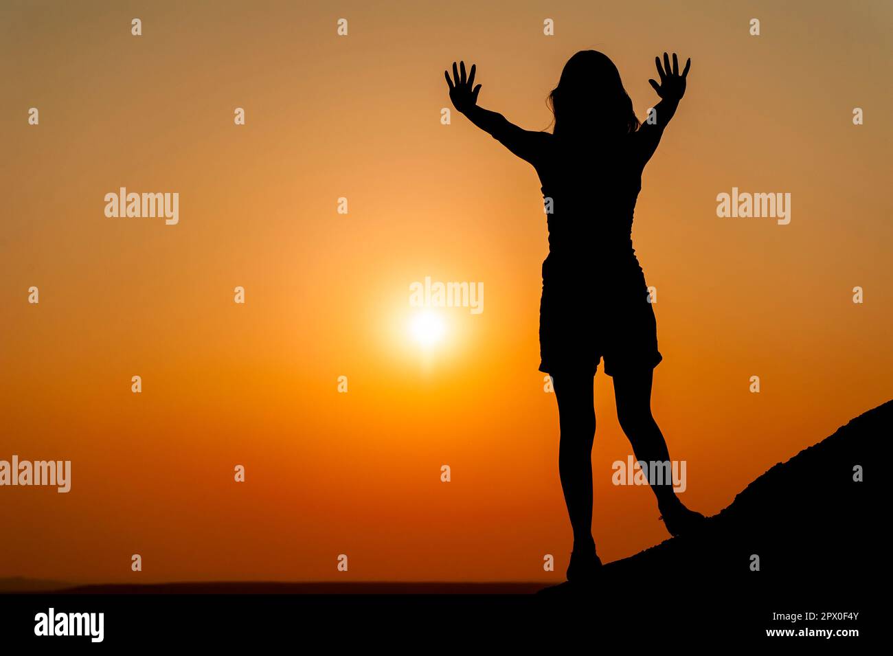 Female Victory Silhouette