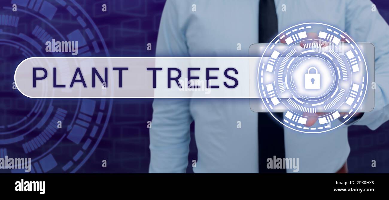 Sign displaying Plant Trees, Business concept process of planting a ...