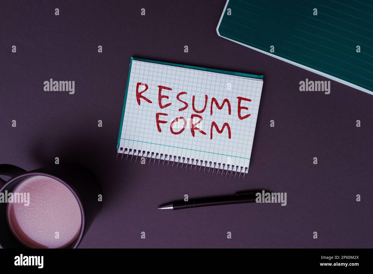 Text caption presenting Resume Form, Business overview describe the ...