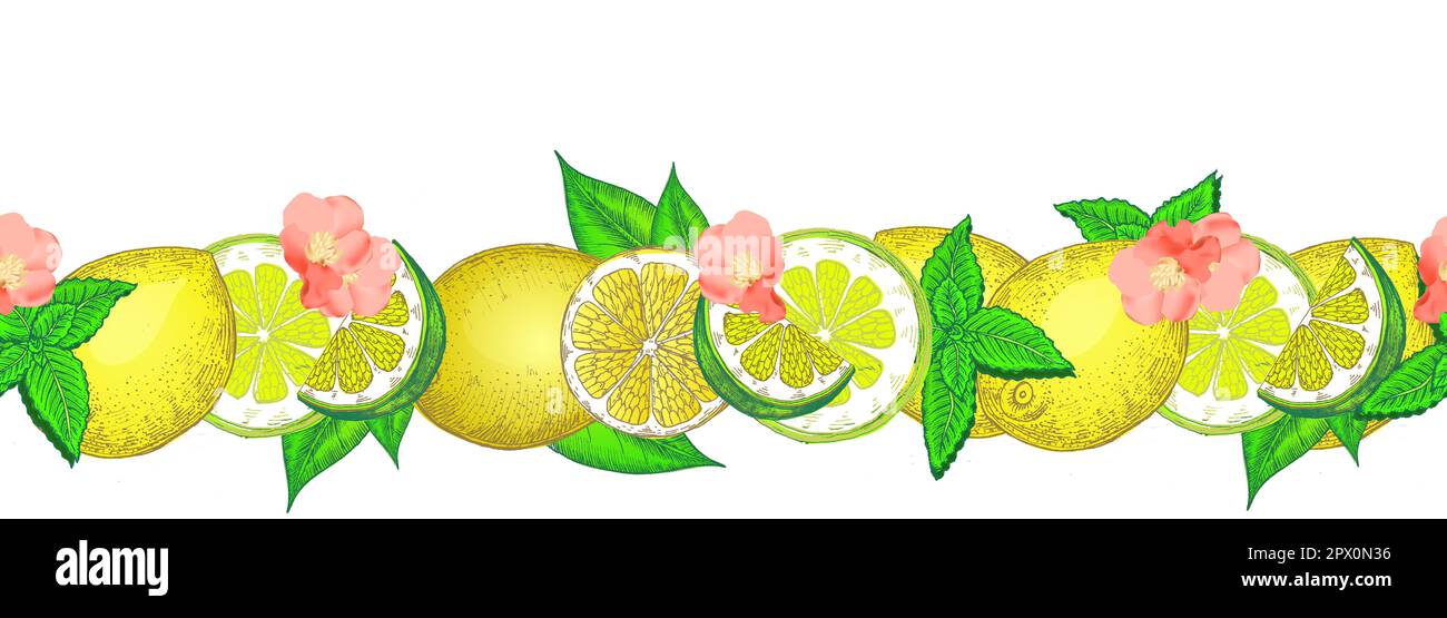 Banner with lemons, lime, leaves and flowers. Handmade drawing ...