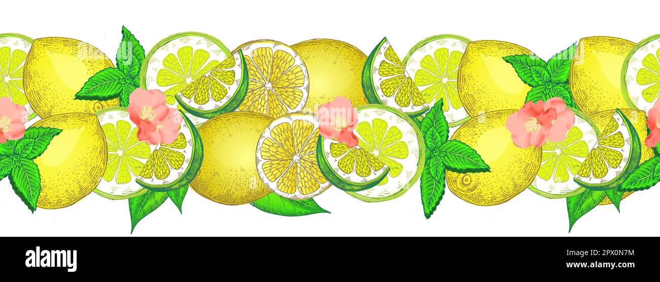 Banner with lemons, lime, leaves and flowers. Handmade drawing ...
