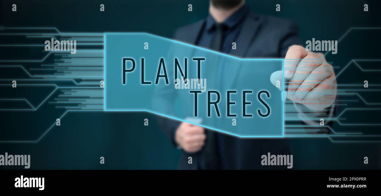 Sign displaying Plant Trees, Internet Concept process of planting a ...