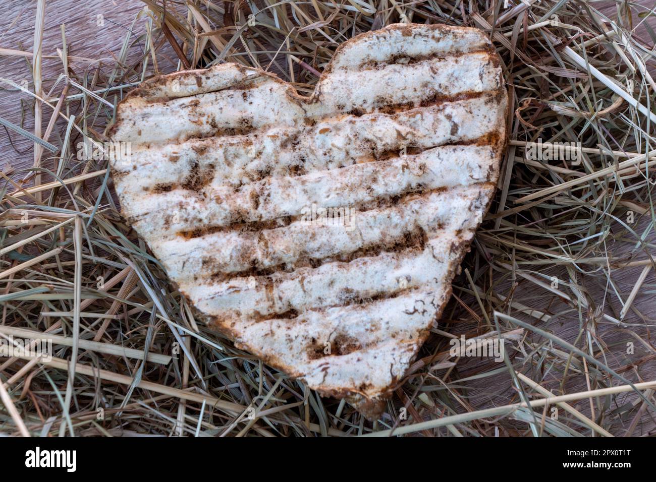 Traditional Neufchatel cheese, a dairy product, France Stock Photo - Alamy