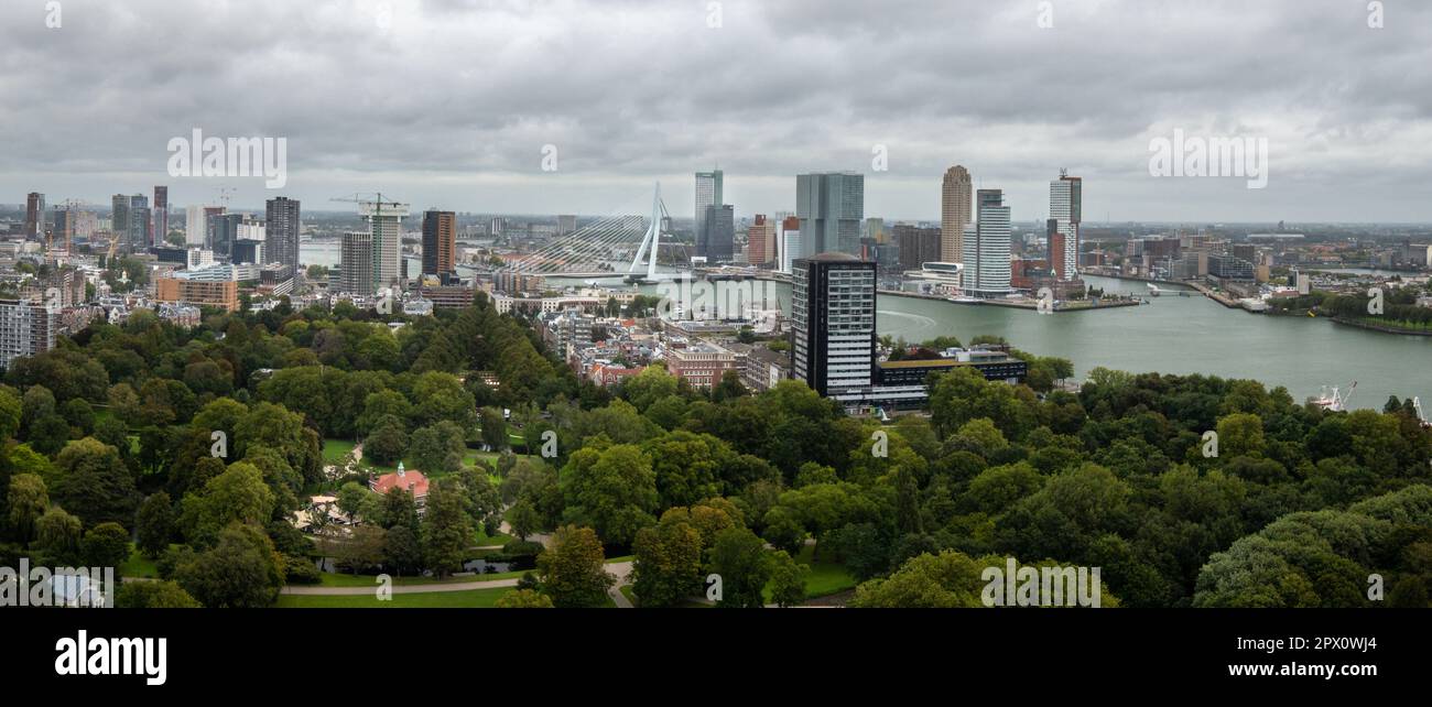 Panoramic view of the port of Rotterdam and the tall buildings that ...