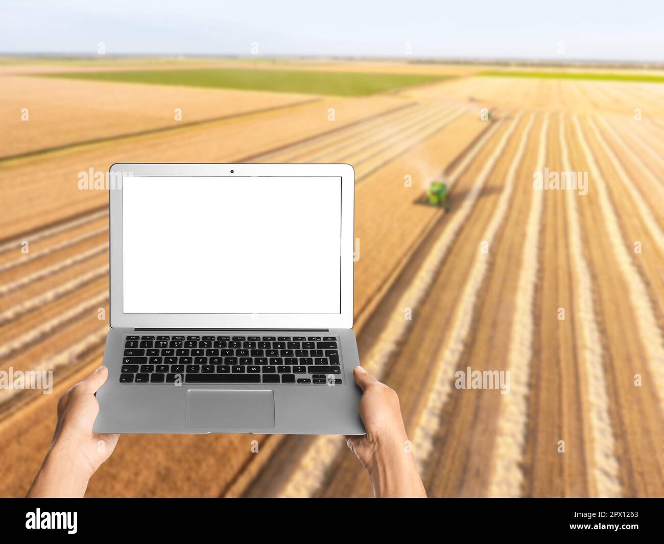 Farmer with laptop and wheat field. Banner for design Stock Photo - Alamy