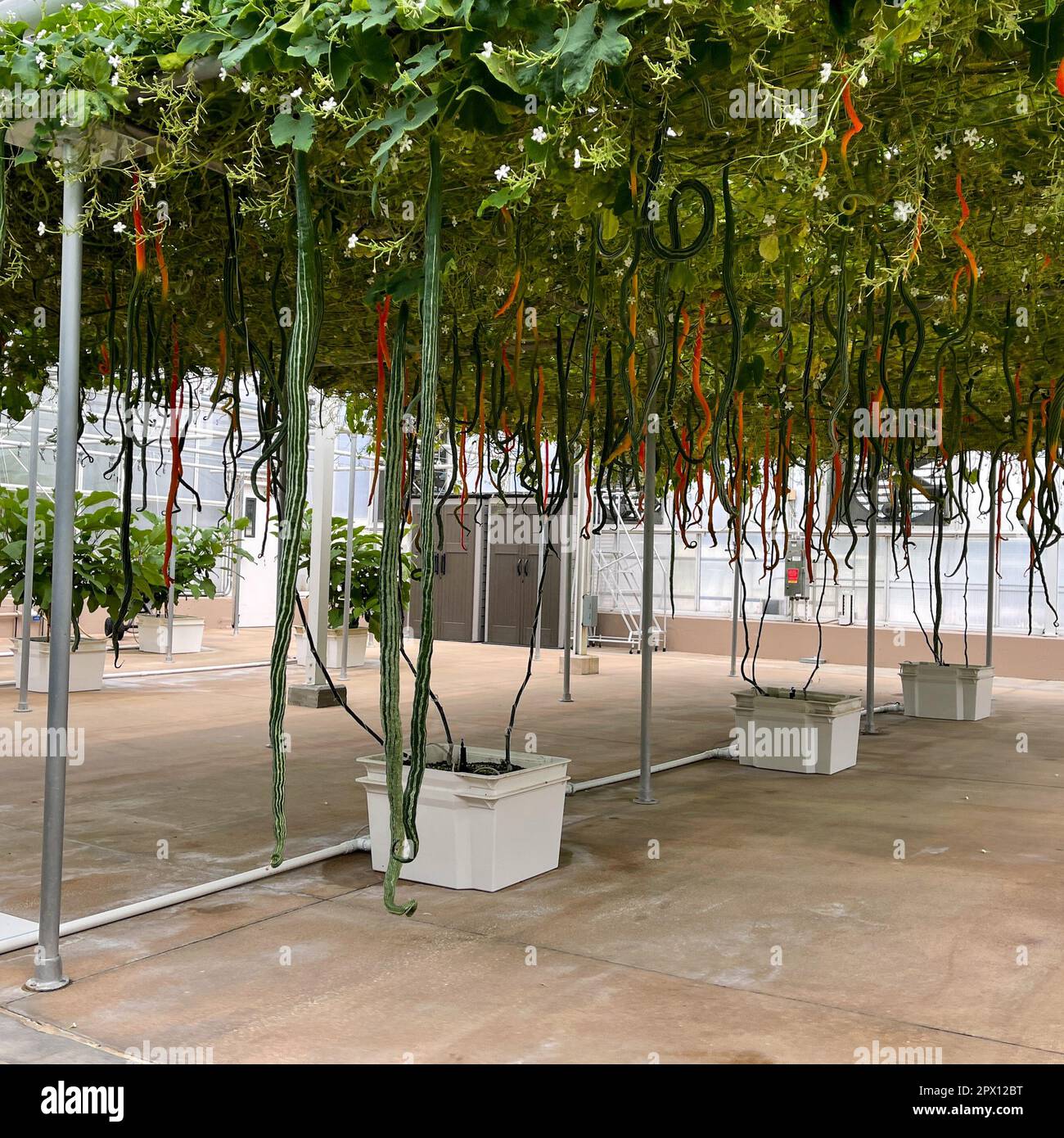 orlando, FL USA- April 27, 2021: The interior to the Land Pavillion at ...
