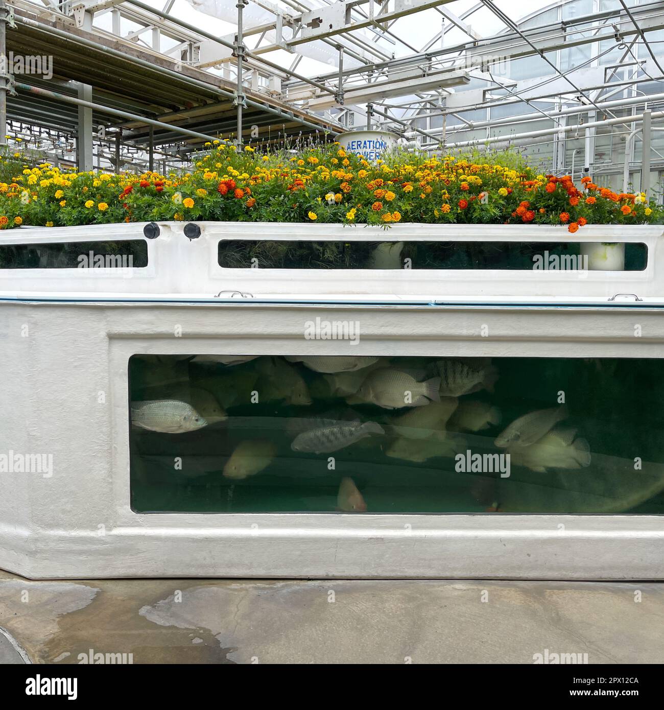 orlando, FL USA- April 27, 2021: The interior to the Land Pavillion at ...