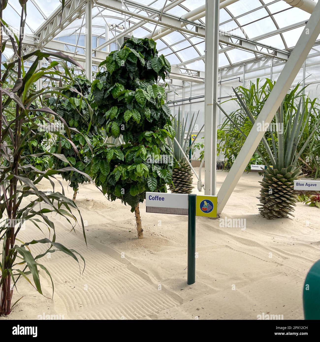 orlando, FL USA- April 27, 2021: The interior to the Land Pavillion at ...