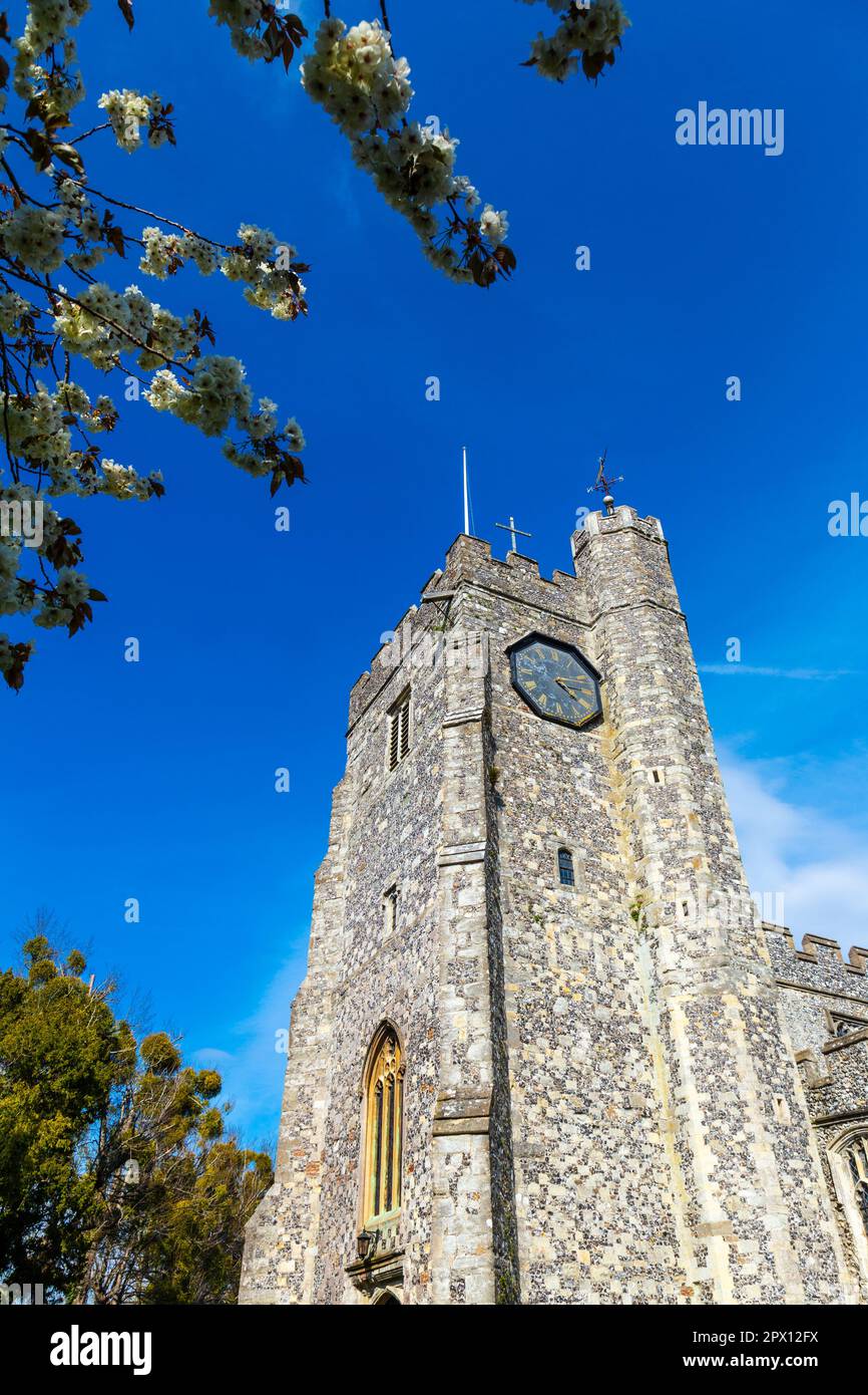 St Mary's Church and churchyard, Chilham, Kent, England, UK Stock Photo ...
