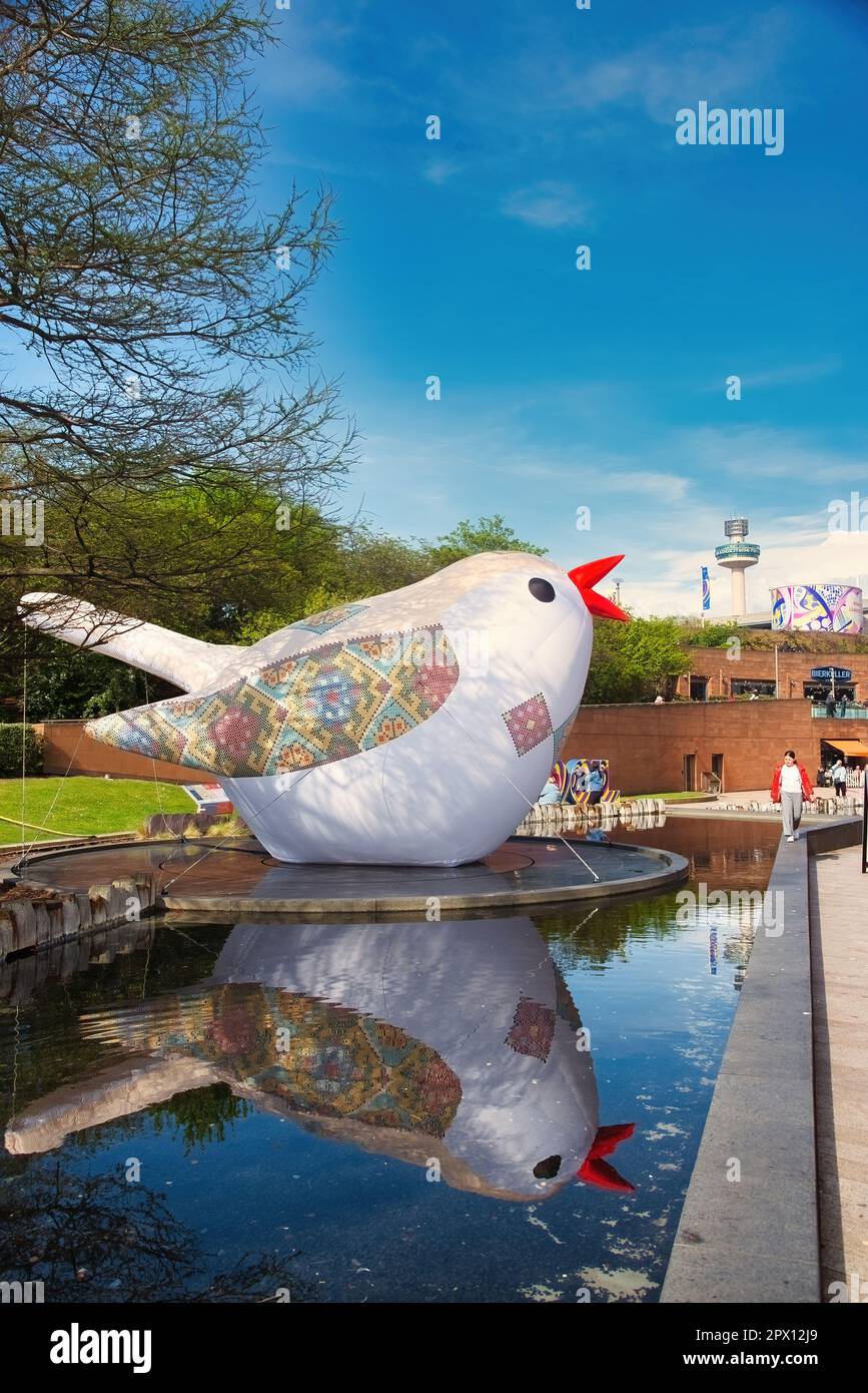 Soloveiko hi-res stock photography and images - Alamy