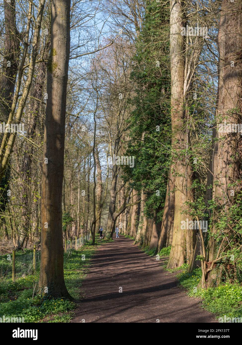 View along the Thames Path beside the River Thames in Maidenhead ...