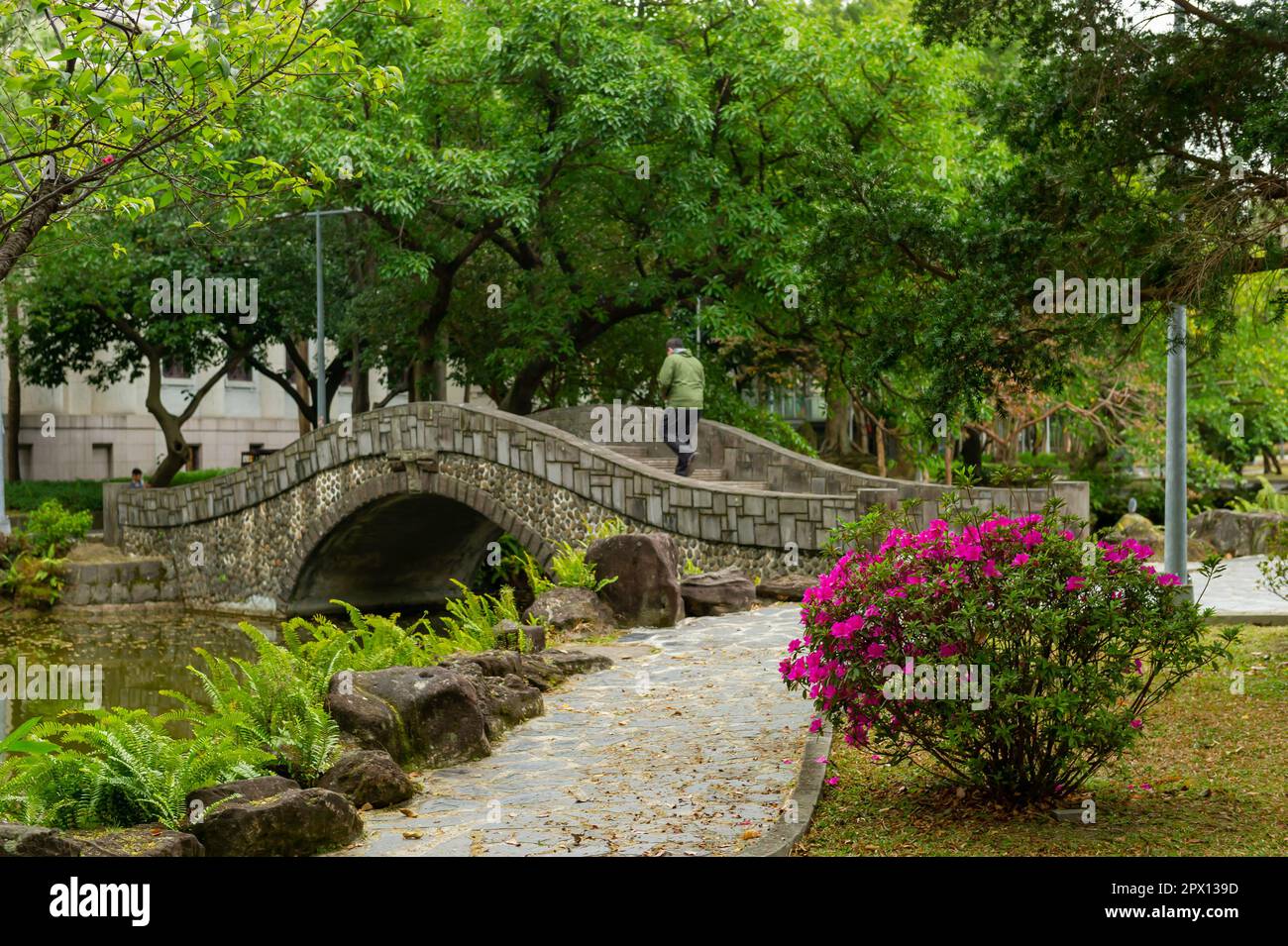 A bridge over the carp pond at the 228 Peace Memorial Park, Taipei ...