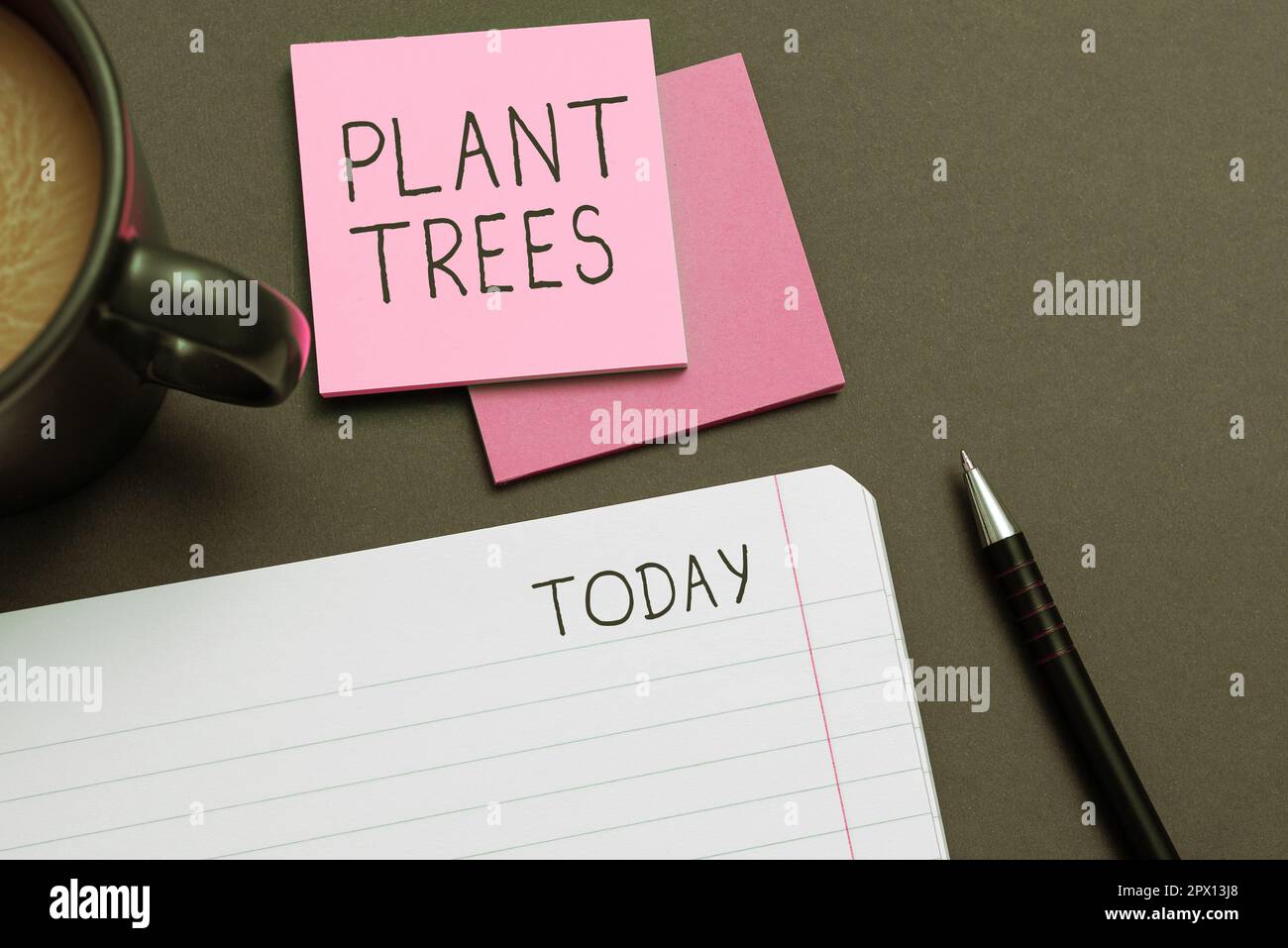 Sign displaying Plant Trees, Business concept process of planting a ...