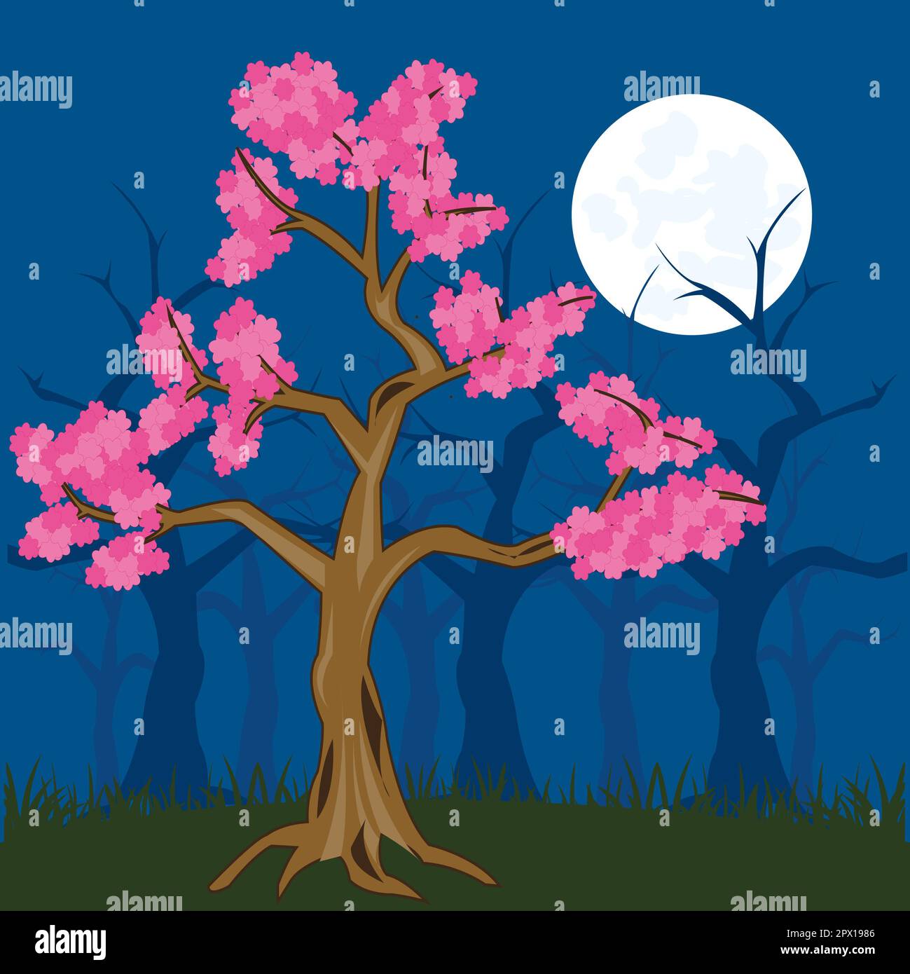 Beautiful landscape wood moon in the night and flowering tree sakura ...