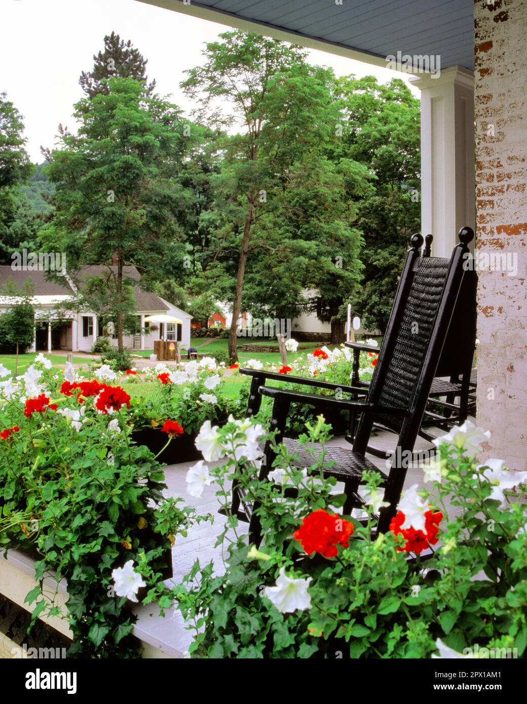 1990s POTTED RED GERANIUMS AND WHITE PETUNIAS ON PEACEFUL FRONT PORCH ...