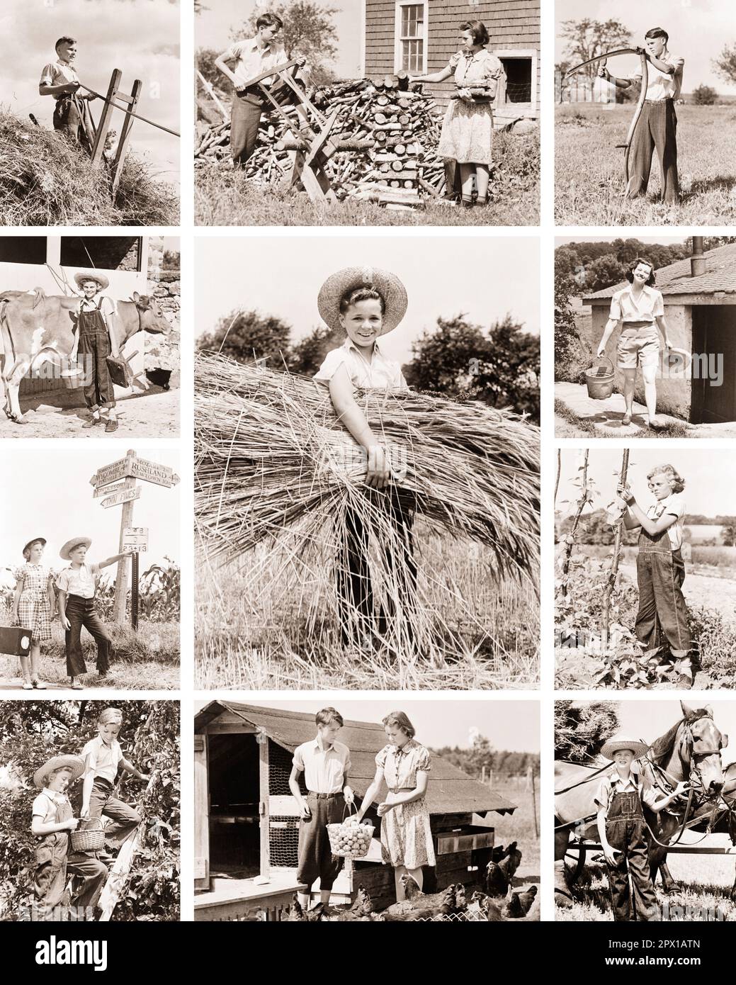 1940s 1930s MONTAGE TEENAGE KIDS DOING FARM CHORES COLLECTING EGG ...