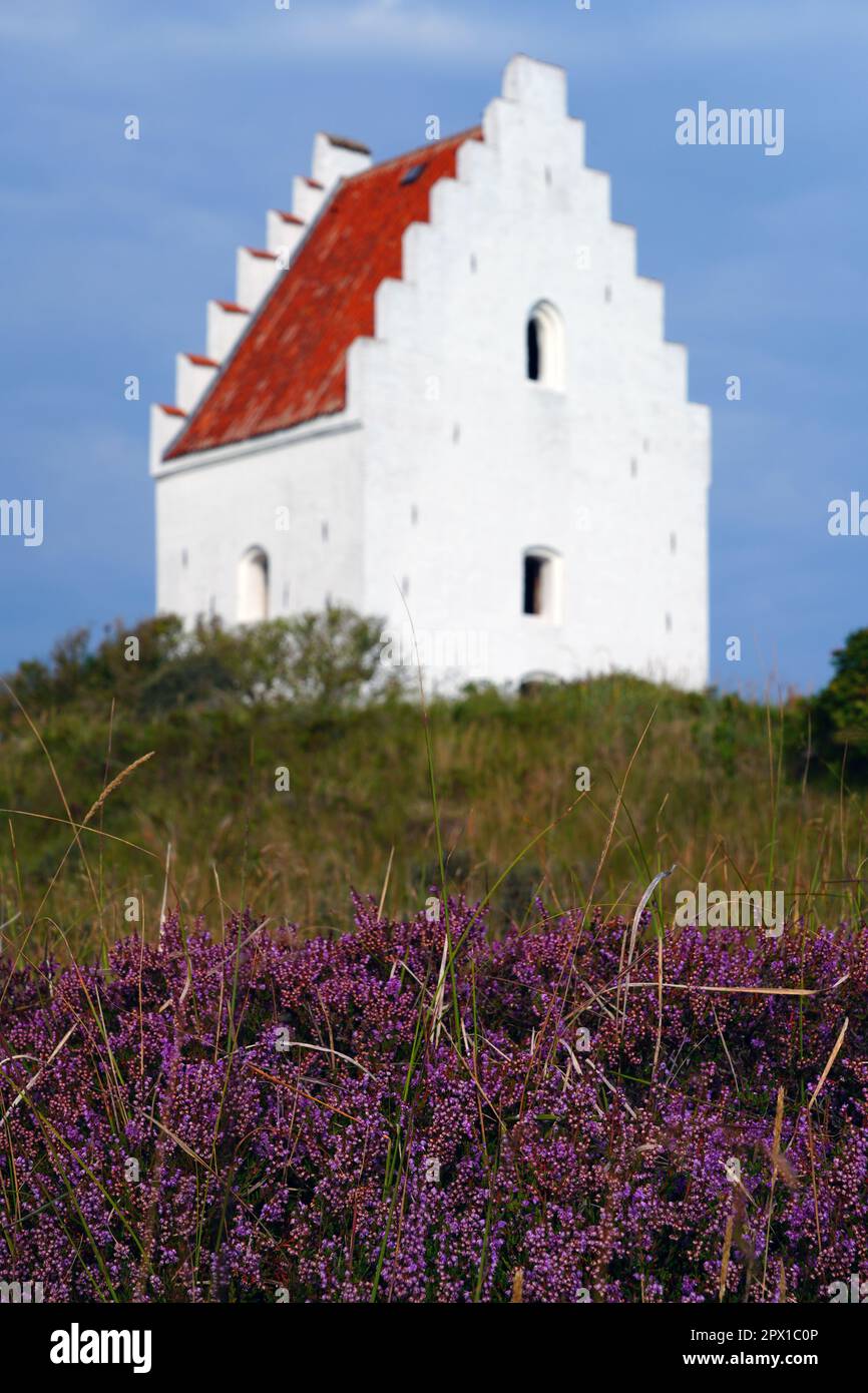 SKAGEN, DENMARK -24 AUG 2022- View of the Sand-covered Church (Den ...