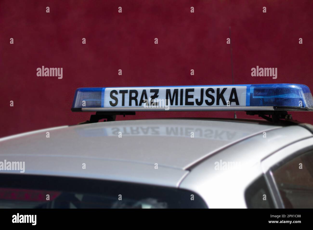 Flashing light on a company car, city guards. Close-up. Blue and white ...