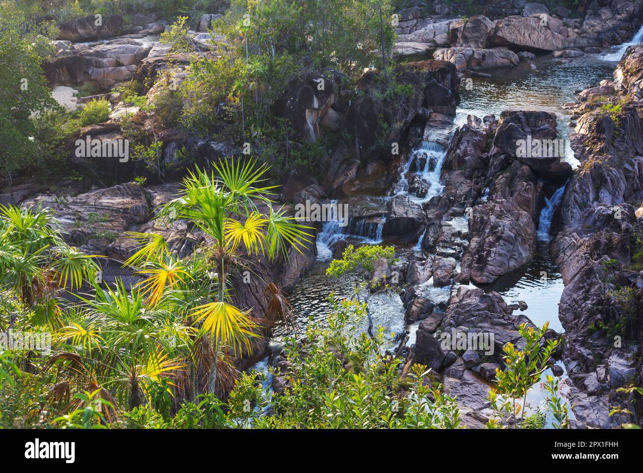 Beautiful tropical landscapes -river in jungle Stock Photo - Alamy