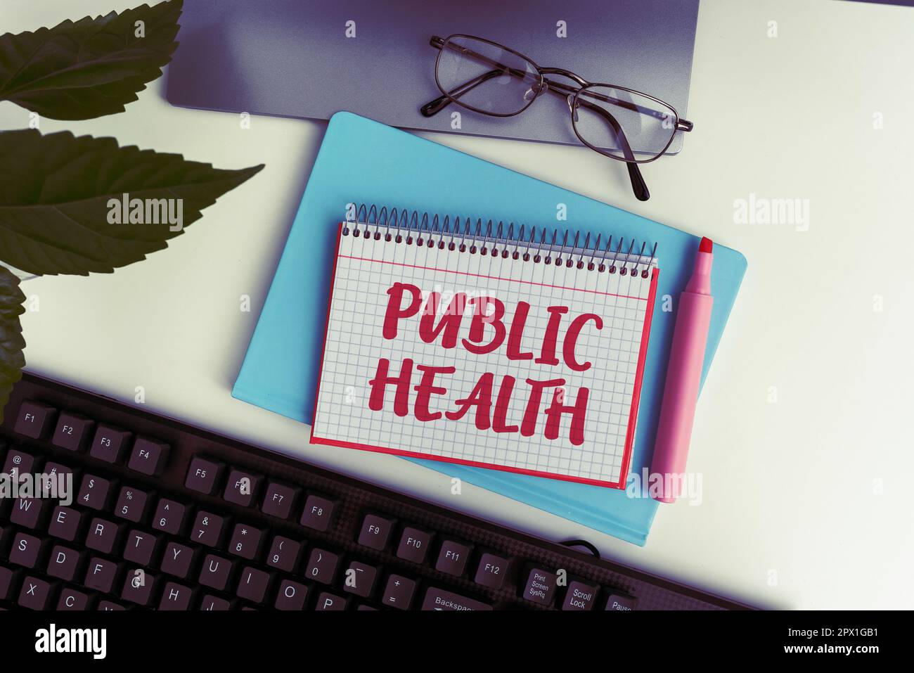 Text caption presenting Public Health, Word for Promoting healthy ...