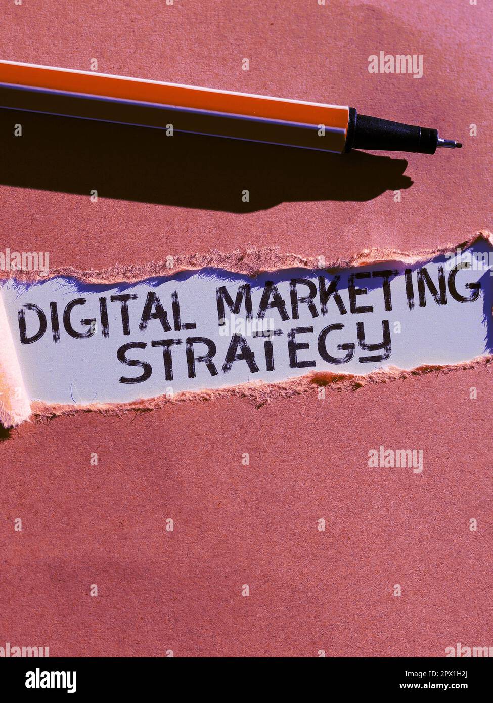Text caption presenting Digital Marketing Strategy, Business overview ... Text caption presenting Digital Marketing Strategy, Business overview ...