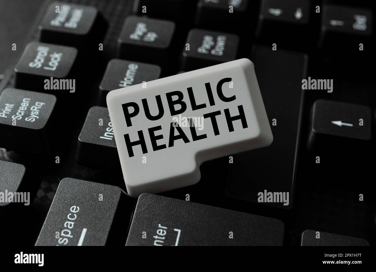 Conceptual display Public Health, Word Written on Promoting healthy ...