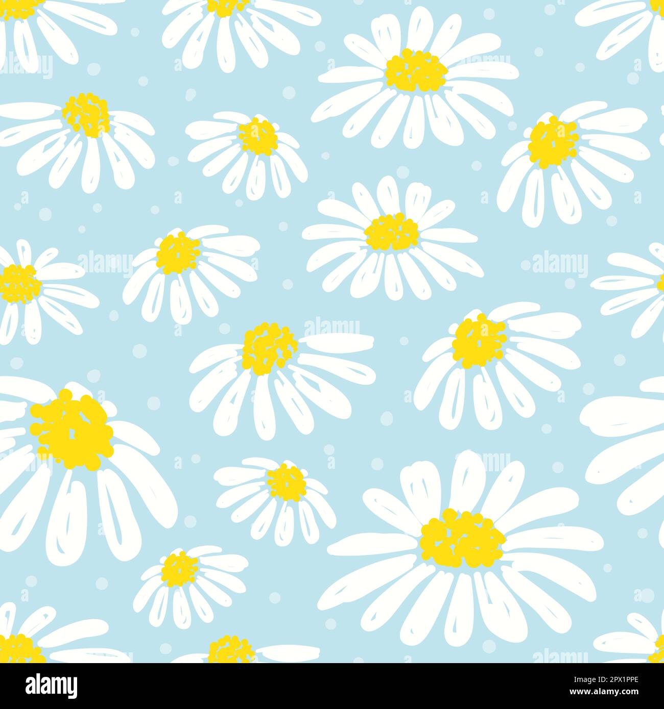White chamomile flowers on Stock Vector Images - Alamy