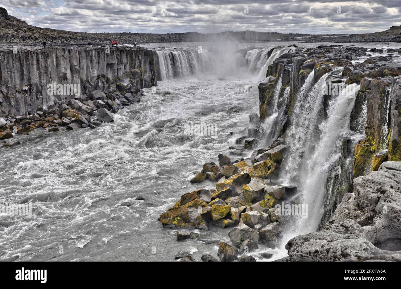 selfoss, island, wasserfall, fluss, kaskade, kaskaden, bach, bergbach ...