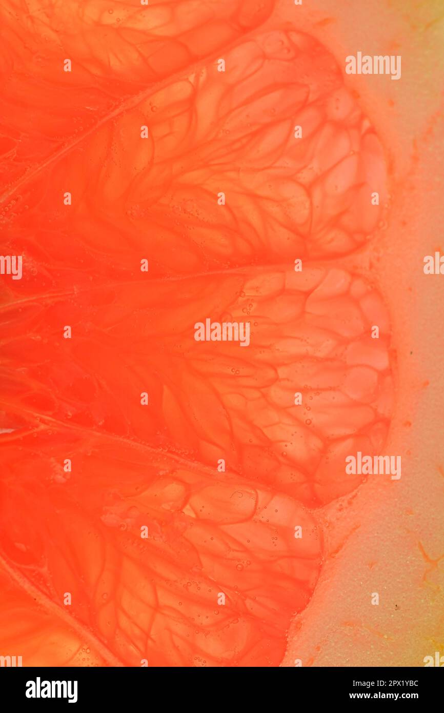 Grapefruit close-up. Slice of blood red ripe grapefruit. Texture of red ...