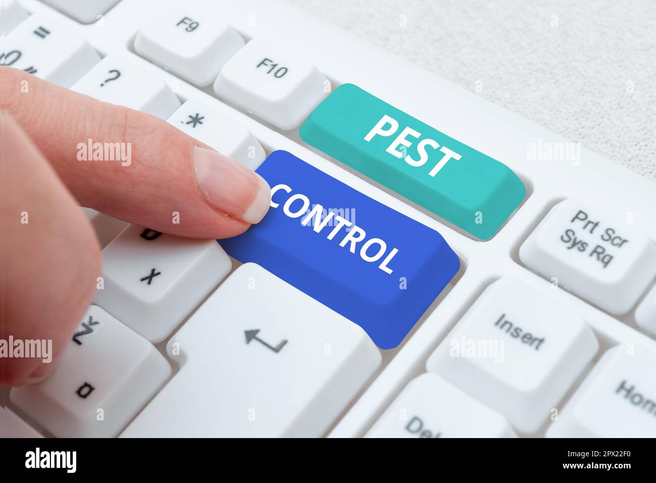 Sign displaying Pest Control, Business overview Killing destructive ...