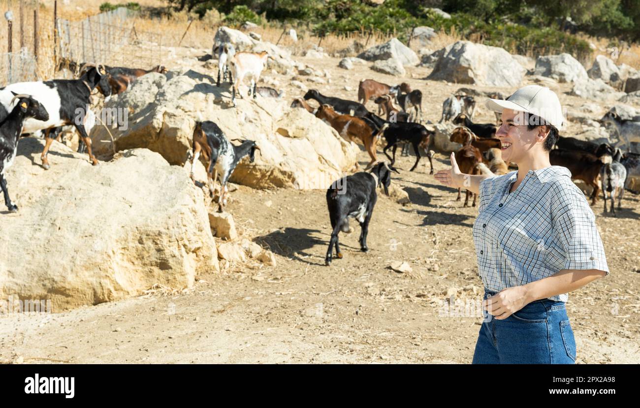 Female farmer watching flock of goats grazing in mountainous area Stock ...