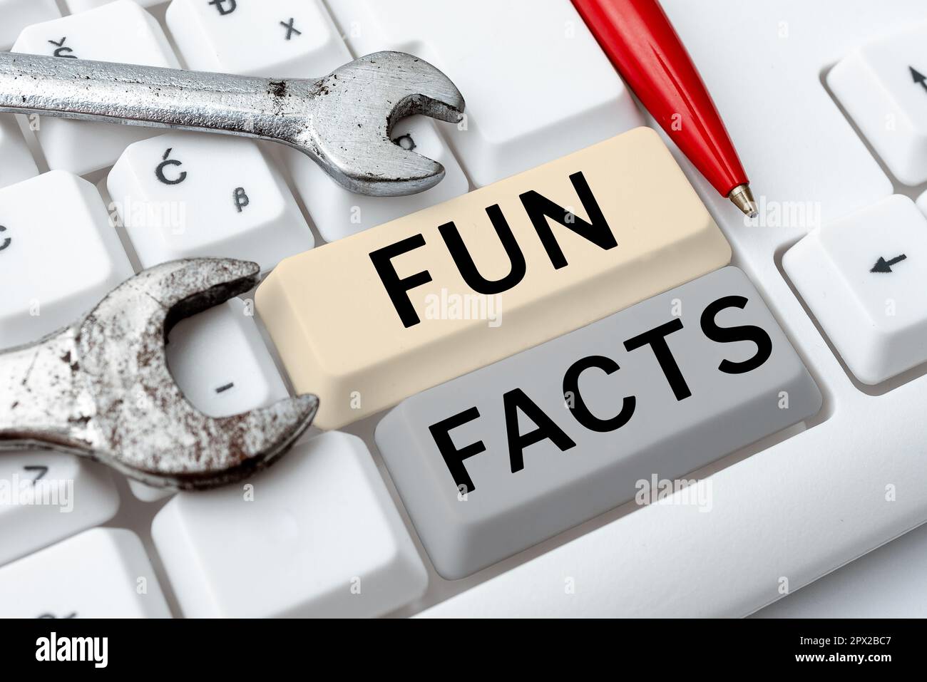 Sign displaying Fun Facts, Business idea short interesting trivia which ...
