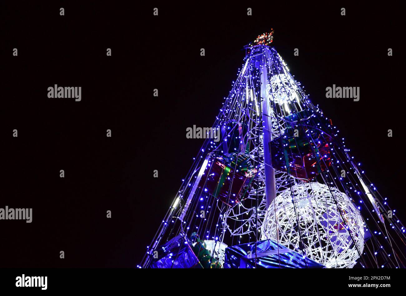 Fragment of the New Year tree. A lot of round lights of blue color are ...