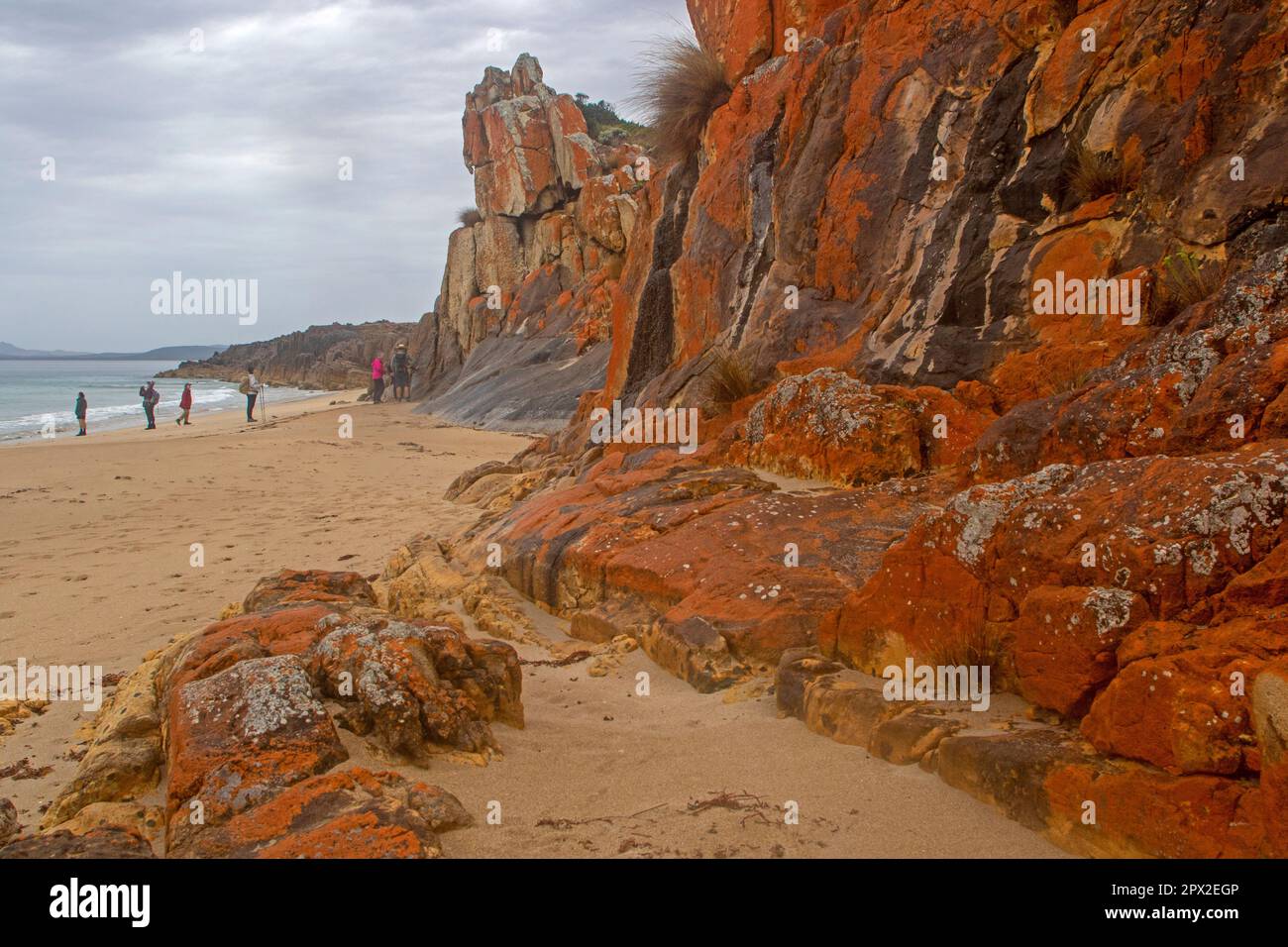 Beach on Marshall Bay, Flinders Island Stock Photo - Alamy