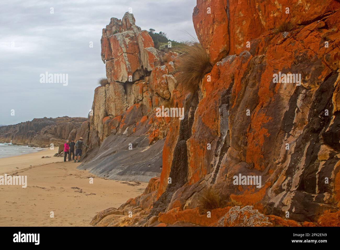 Beach on Marshall Bay, Flinders Island Stock Photo - Alamy