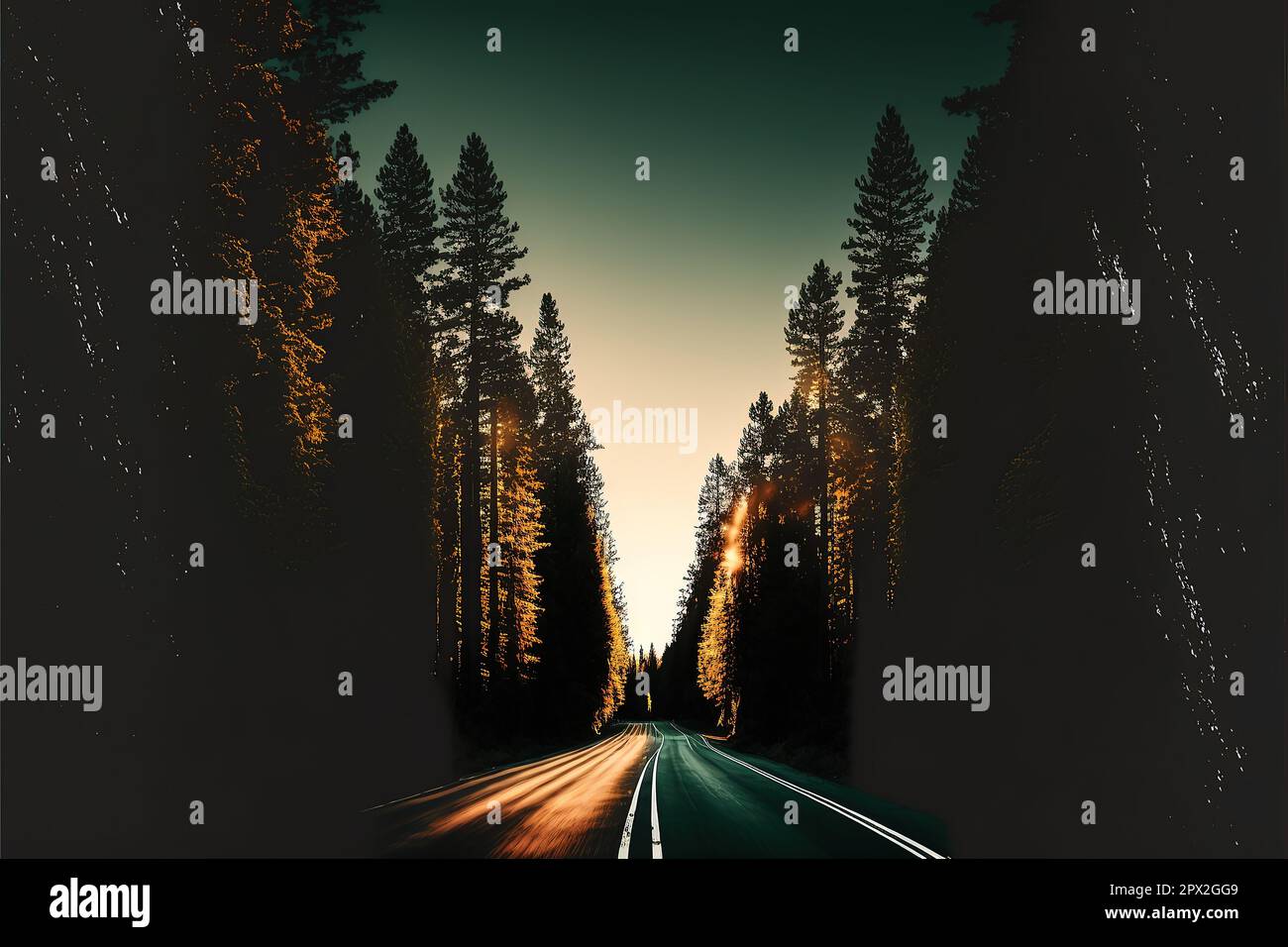 Highway through the evergreen forest at sunset. Dark silhouettes of ...