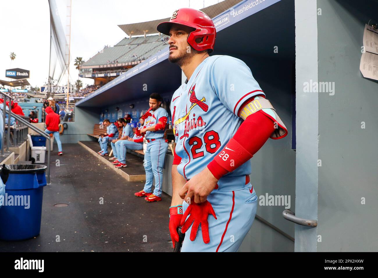 LOS ANGELES, CA - APRIL 29: St. Louis Cardinals third baseman Nolan ...