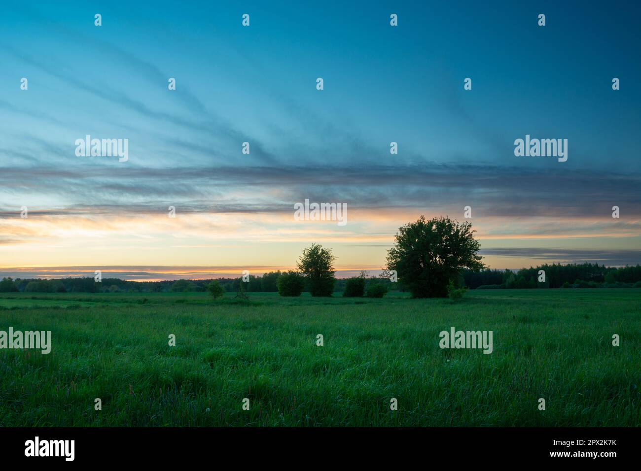 Evening sky after sunset over a green meadow, spring landscape Stock ...
