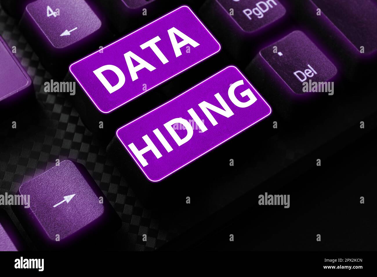 Writing displaying text Data Hiding, Concept meaning Secretly embedding data in graphics images ...