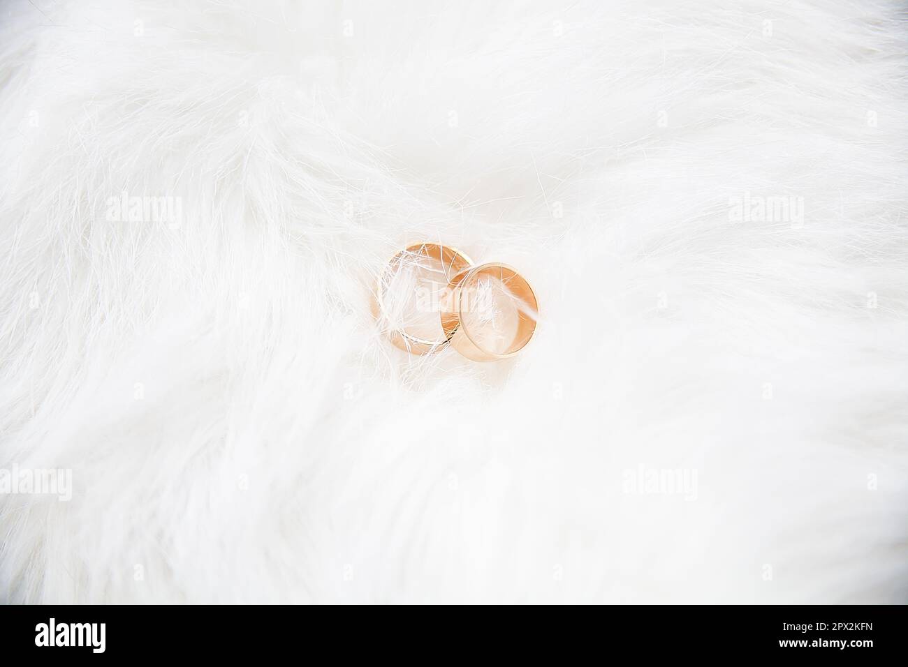 beautiful wedding rings on a white background Stock Photo - Alamy