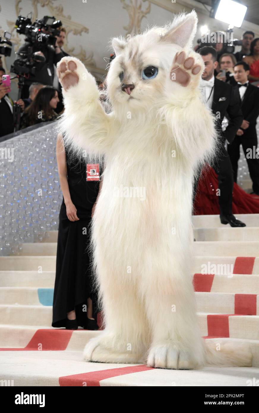 Jared Leto arrives dressed as Choupette, Karl Lagerfeld's cat, at The ...