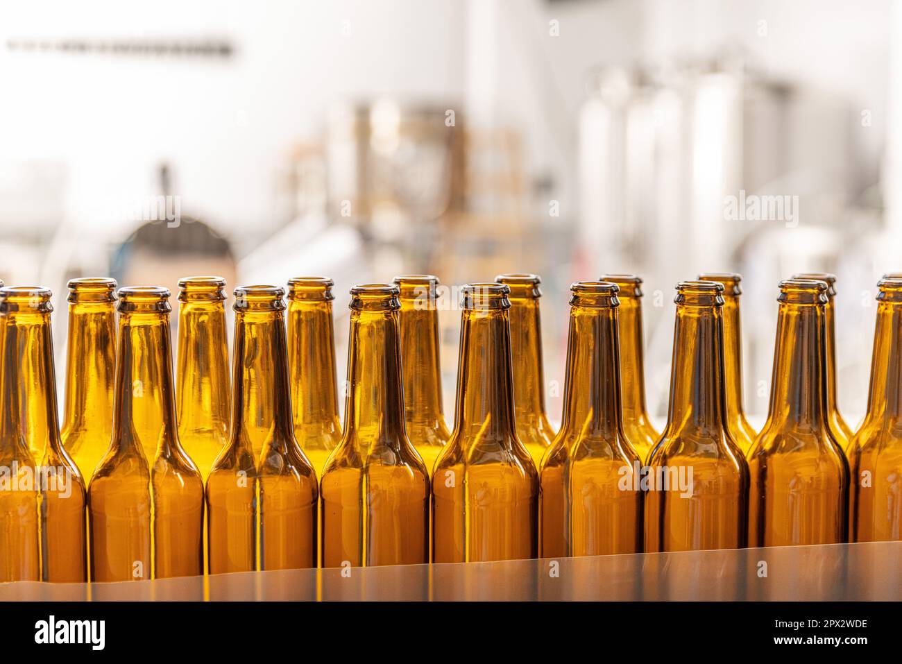 Rows of glass bottles prepared to beer filling and bottling on ...