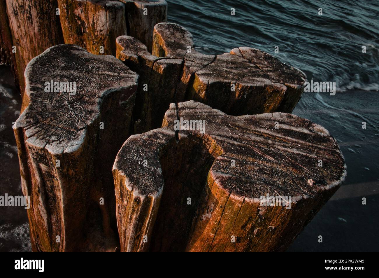 single groyne on the beach. squiggly shape of the wood. Sand and sea ...