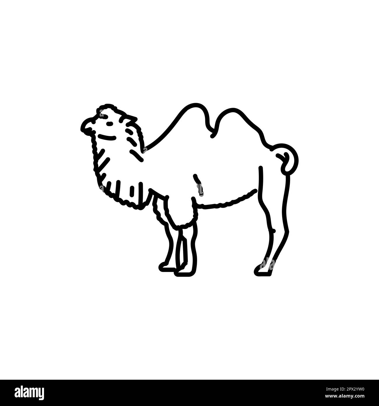 Camel black line icon. Farm animals. Pictogram for web page, mobile app ...