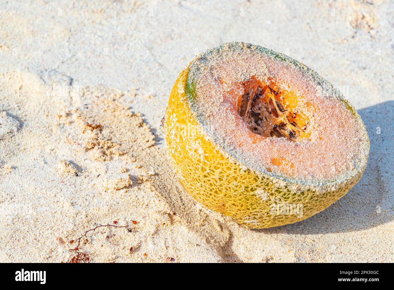 Honeydew melon full of sand on beach in Playa del Carmen Quintana Roo ...