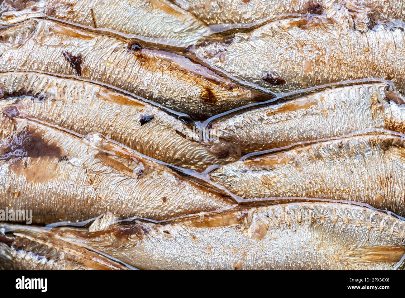 Close-up of pickled herring, also called "sprats", a specialty of the ...