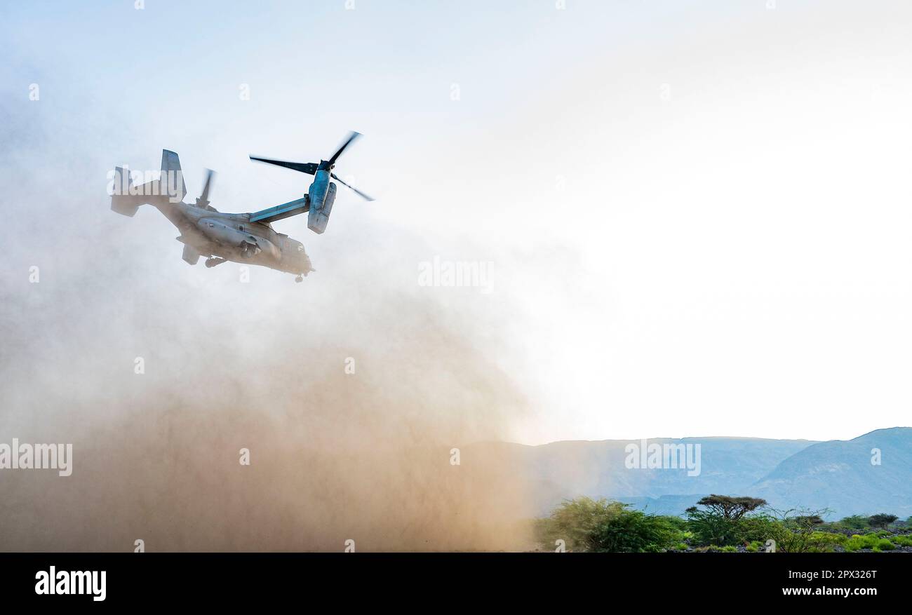 U.S. Marines assigned to Marine Medium Tiltrotor Squadron 364 (VMM-364 ...