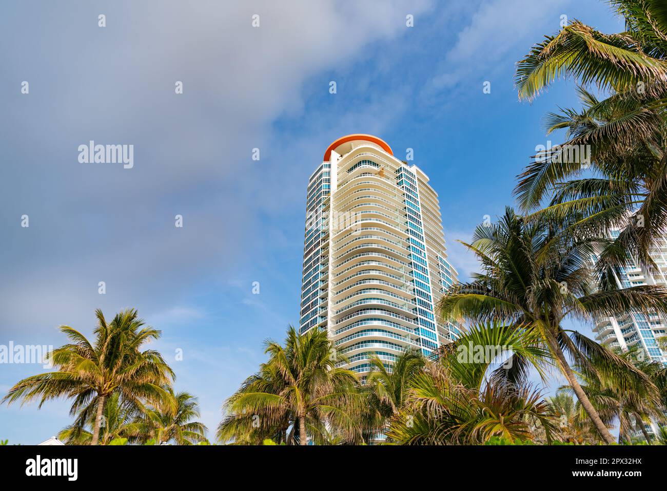 skyscraper building architecture in florida with palms. skyscraper ...