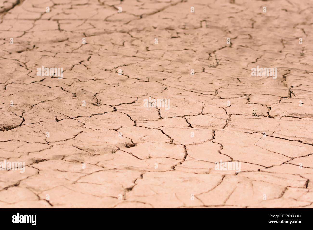 Dry, cracked desert ground texture close up Stock Photo - Alamy