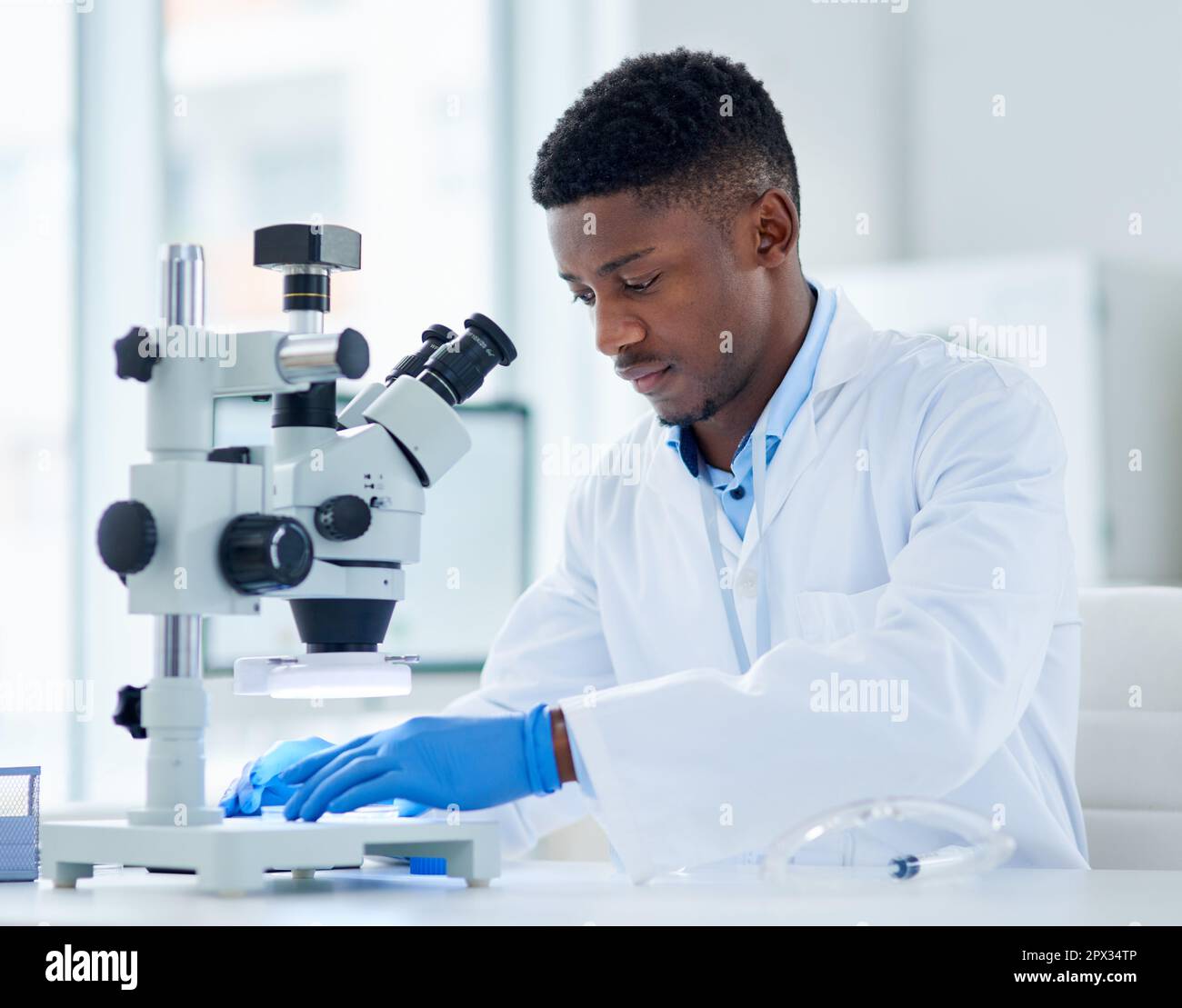 Lets see how this sample looks like under the microscope. a focused ...